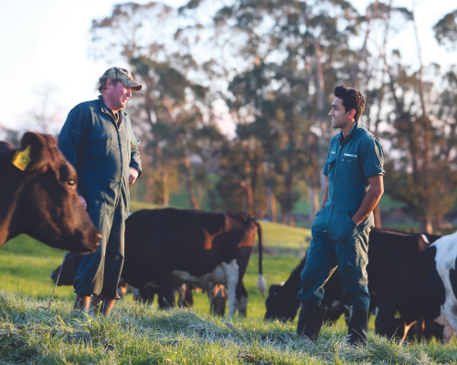 Farmfirst Veterinary