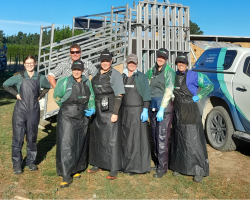 Farmfirst Veterinary