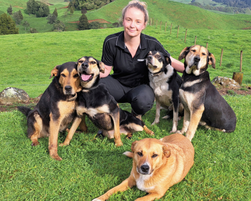 Farmfirst Veterinary