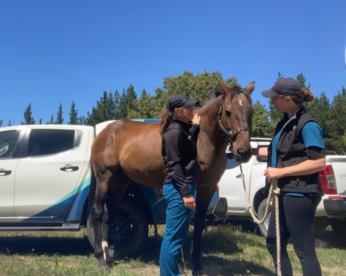 Farmfirst Veterinary